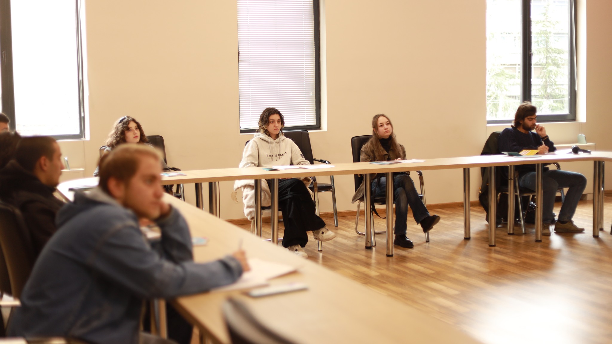 Emis.gov.ge მანდატურის სამსახური ახალ ელექტრონულ პროგრამაში ერთვება