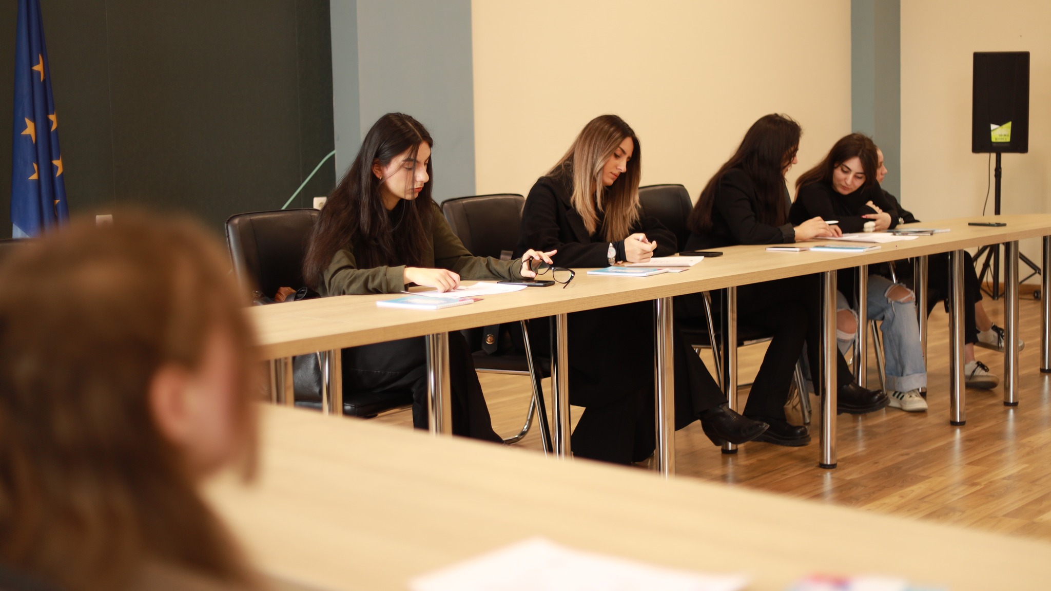 Emis.gov.ge მანდატურის სამსახური ახალ ელექტრონულ პროგრამაში ერთვება